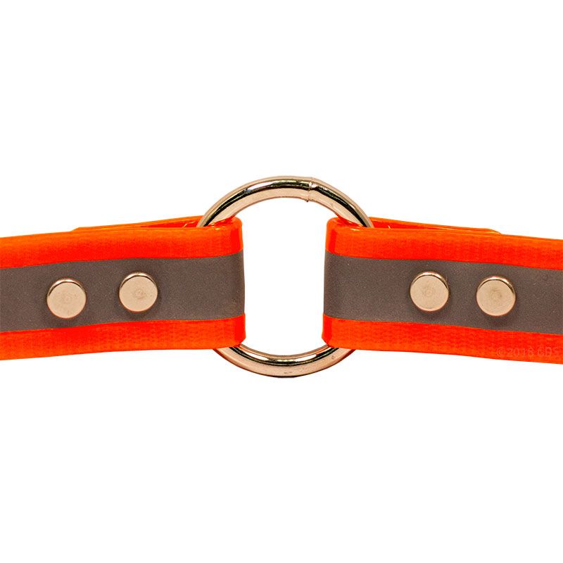ORANGE 1 in. SunGlo Reflective O-Ring Collar | Gun Dog Supply