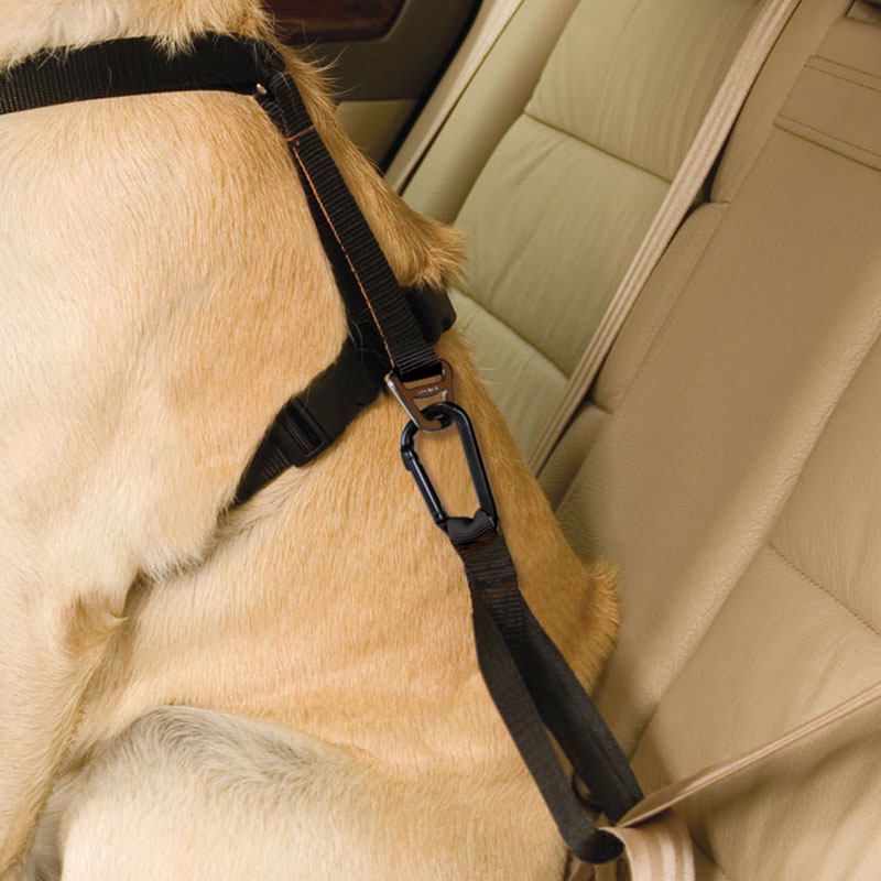 MOPIX - Kurgo Tru-Fit Smart Dog Car / Walking Harness Loop.