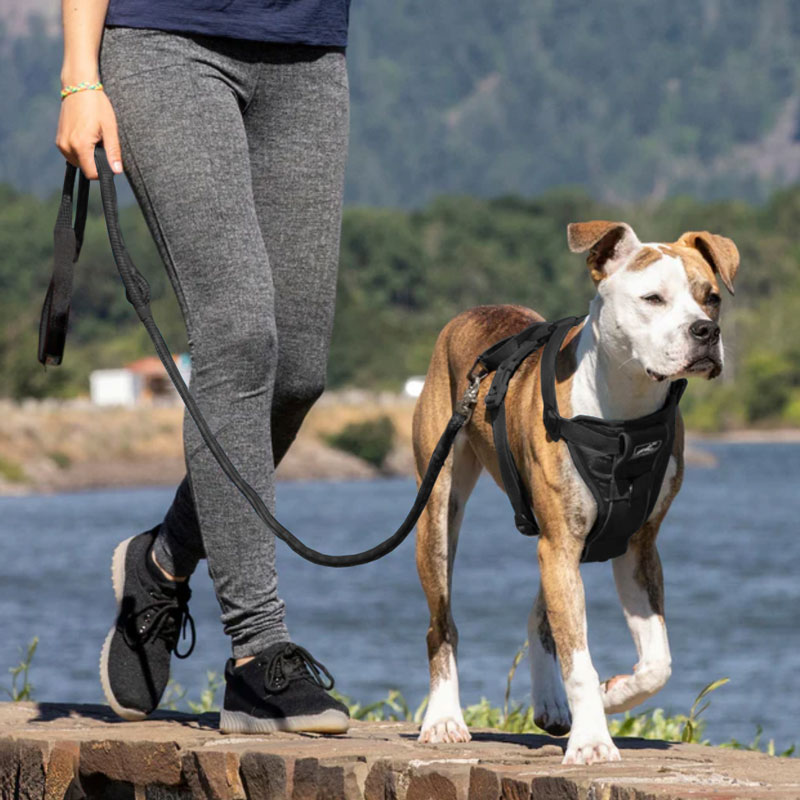 Kurgo Tru-Fit Smart Dog Walking Harness. $32.99.