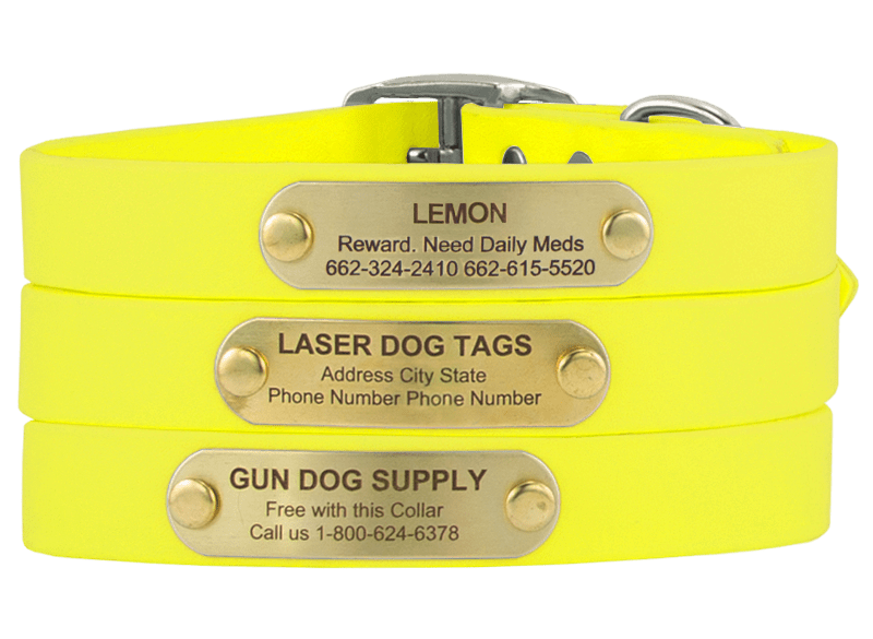 LASER BIG DAWG -- BRIGHT YELLOW 1 in. Biothane Standard Collar | Gun ...