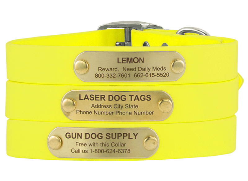 LASER BIG DAWG -- BRIGHT YELLOW 1 in. Super-Heavy Biothane Standard ...