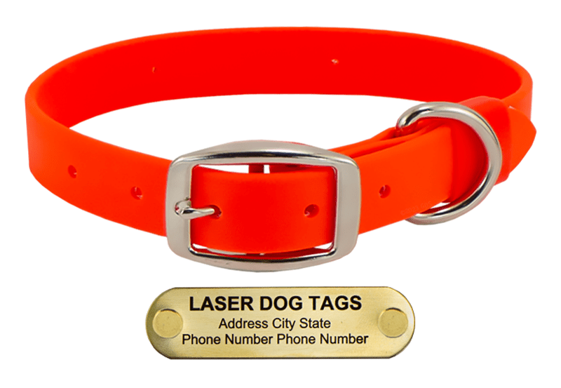 LASER BIG DAWG -- HUNTER ORANGE 1 in. Super-Heavy Biothane Standard ...