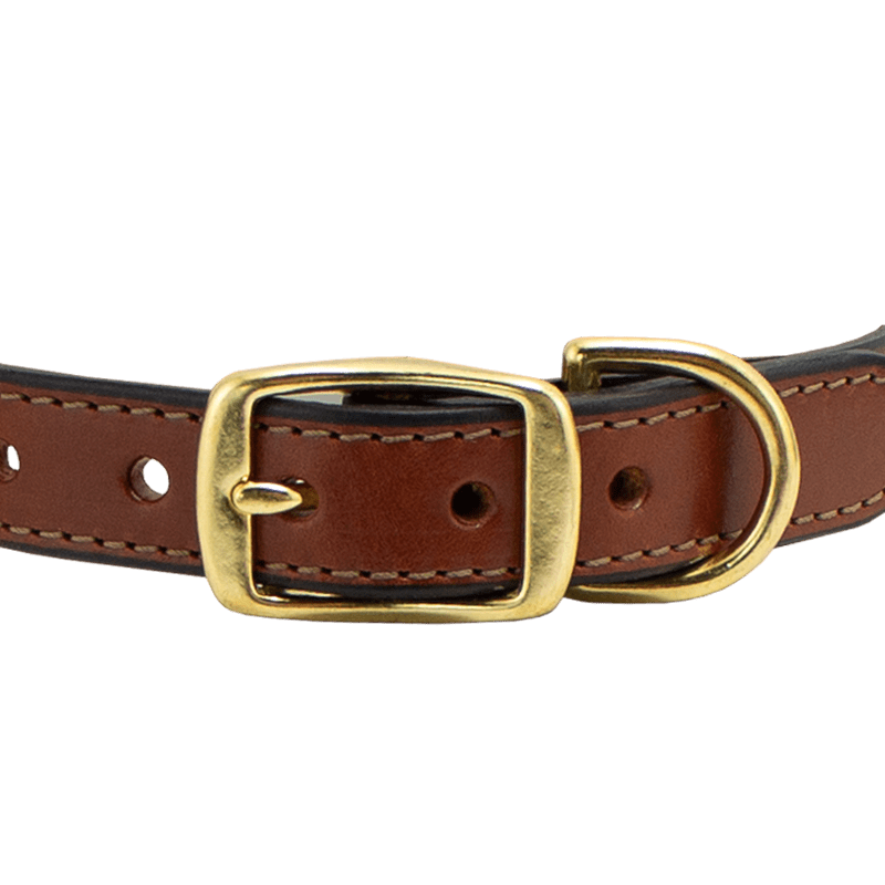 MOPIX - Leather Dog Collar Front of Buckle Detail.