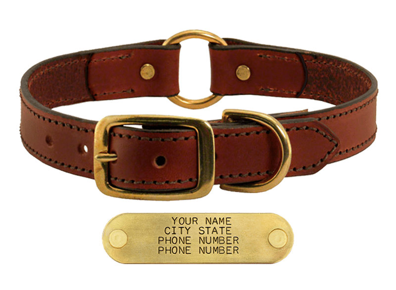 Brass Name Plate For Dog Collar Cheap Sale Www danzhao cc Brass Name Plate For Dog Collar Cheap Sale Www danzhao cc