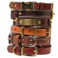 Buy Dog Collars: FREE Brass Dog Name Plate w/ most dog collars!