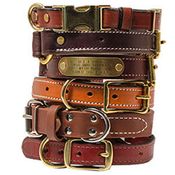 Important Dog I.D. Tag Information | Gun Dog Supply