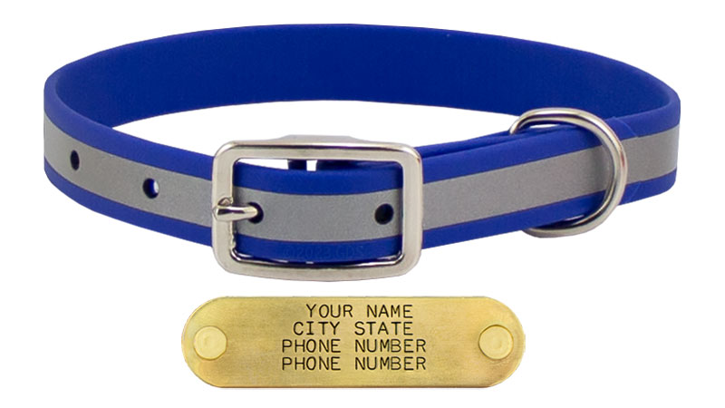 ROYAL BLUE little dawg VISIBILITY 3/4 in. Biothane Puppy & Small Dog ...