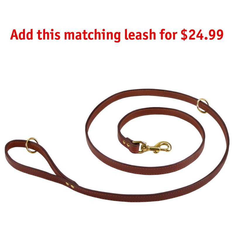 Leather Dog Collar with Name Plate | Gun Dog Supply