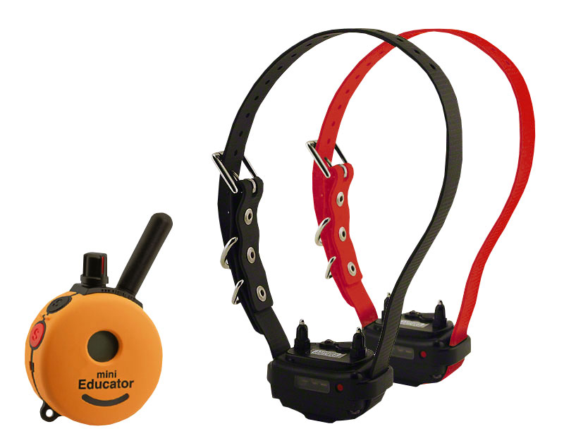 Mini Educator ET-302-A Remote Training Collar 2-dog. $309.99. FREE ...
