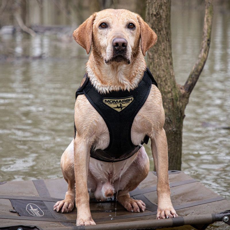 MOmarsh Versa Vest -- Optifade Timber Camo Panels. $129.98. FREE ...