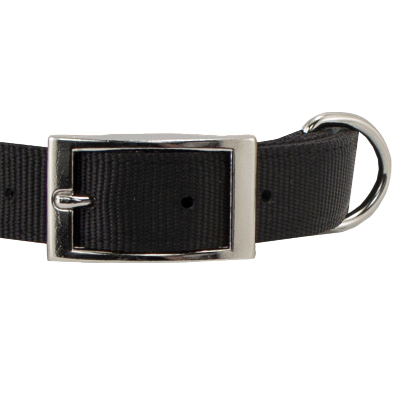 MOPIX - Double Ply Nylon Collar Front of Buckle Detail
