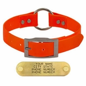 Day Glow Dog Collars with FREE NAME PLATES!.