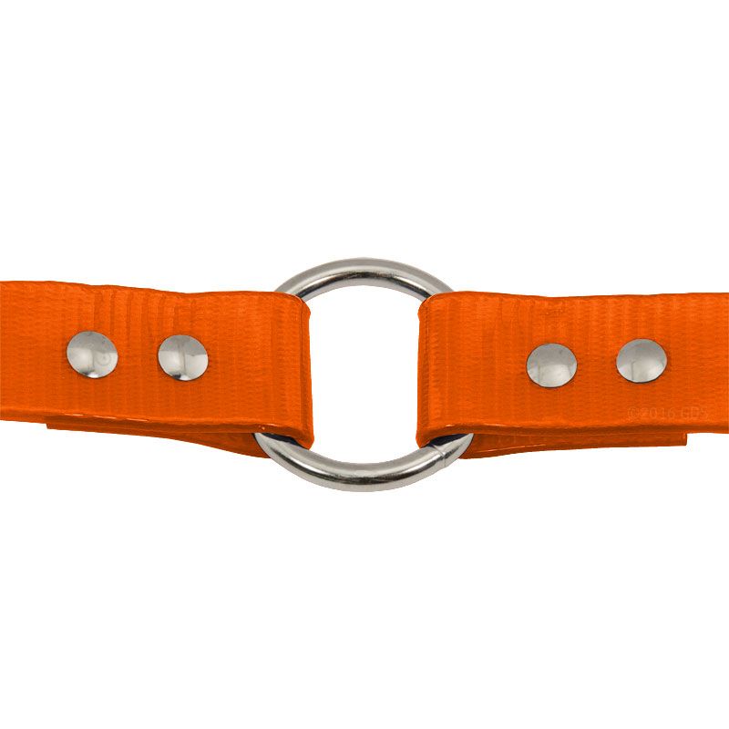 ORANGE 1 in. SunGlo O-Ring Collar | Gun Dog Supply