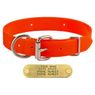 PINK 1 in. SunGlo D-End Collar. $6.99.