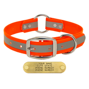 SunGlo® Dog Collars with FREE NAME PLATES! | Gun Dog Supply