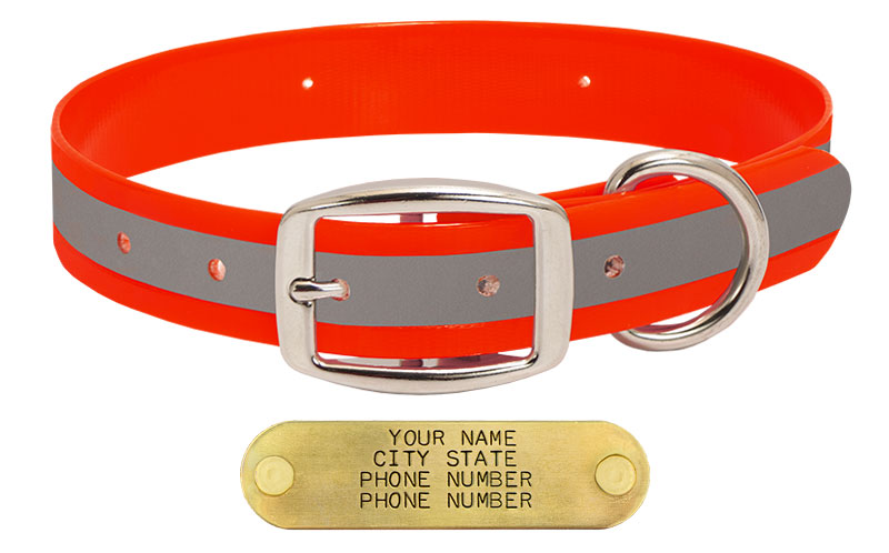 ORANGE 1 in. SunGlo Reflective Standard Collar | Gun Dog Supply