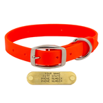 GUN DOG SUPPLY reviews Hunting Dog Training Collars & Supplies for ...