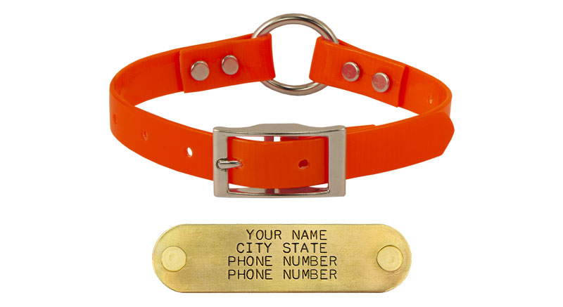 ORANGE 3/4 in. O-Ring SunGlo Collar | Gun Dog Supply