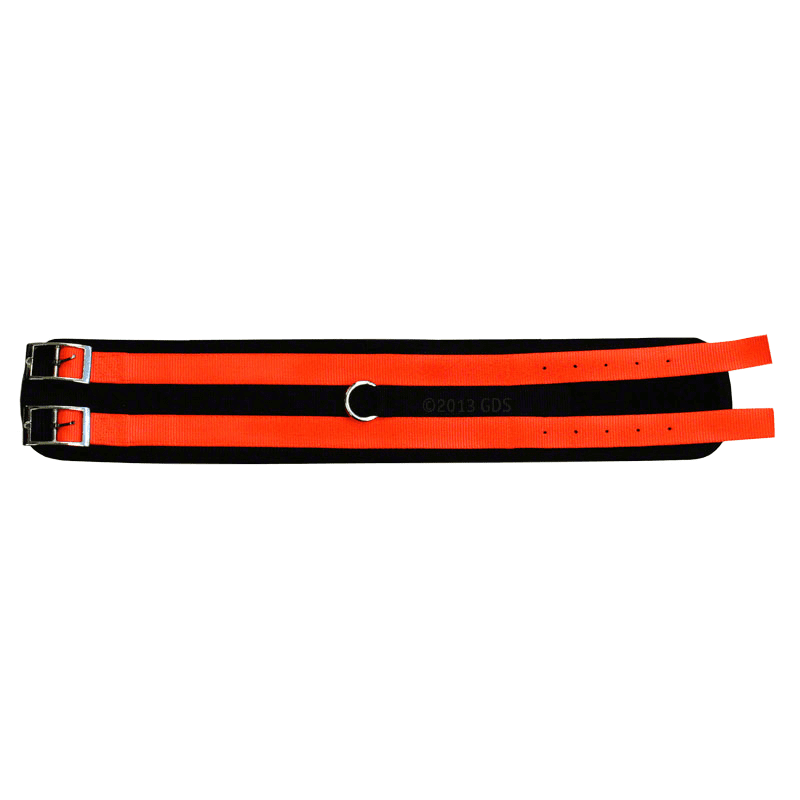 MOPIX - Overkill Nylon Hog Dog Collar Flat View.