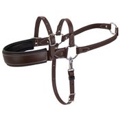 Dog Harnesses, Packs, and Saddle Bags | Gun Dog Supply