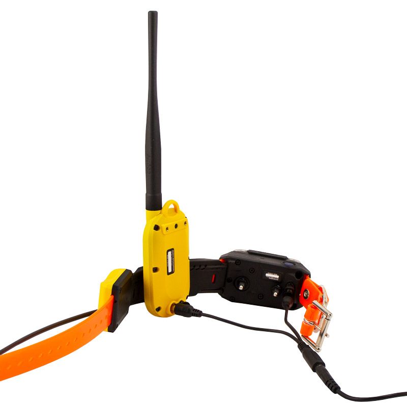 Dogtra Pathfinder 2 GPS + E-Collar COMBO. $429.99. FREE Shipping US48