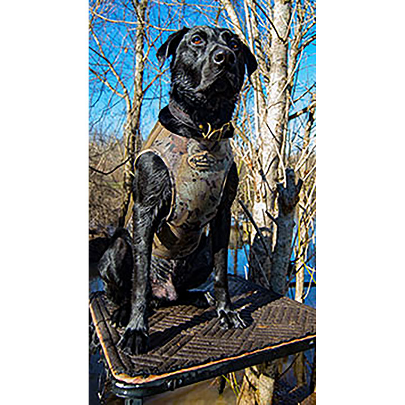 Paul's Dog Blue (Labrador Retriever).