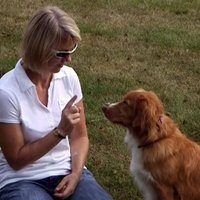 Robin MacFarlane Ecollar & Other Dog Training Videos.