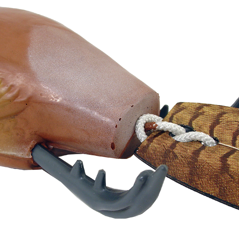 MOPIX - Pheasant Feet Detail.