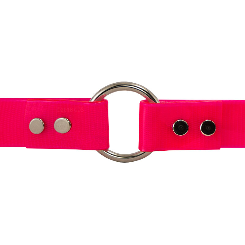 PINK 1 in. SunGlo O-Ring Collar | Gun Dog Supply