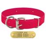 ORANGE 1 in. SunGlo D-End Collar. $6.99.