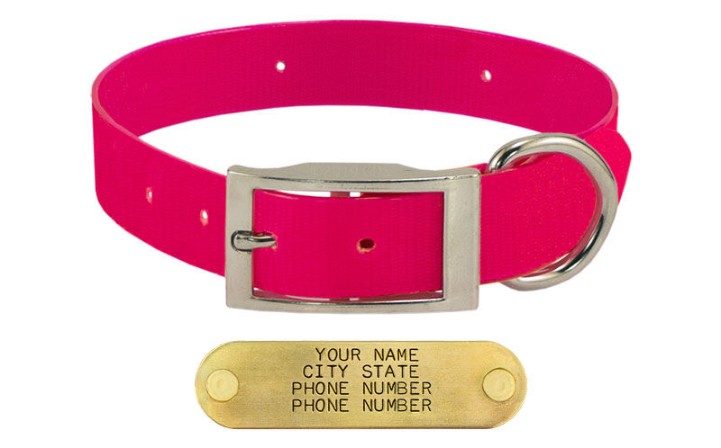 PINK 1 in. SunGlo Standard Collar. $6.99.
