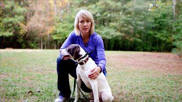 Pro Trainer Robin MacFarlane: How to Train Your Dog.