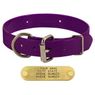 PINK 1 in. SunGlo D-End Collar. $6.99.