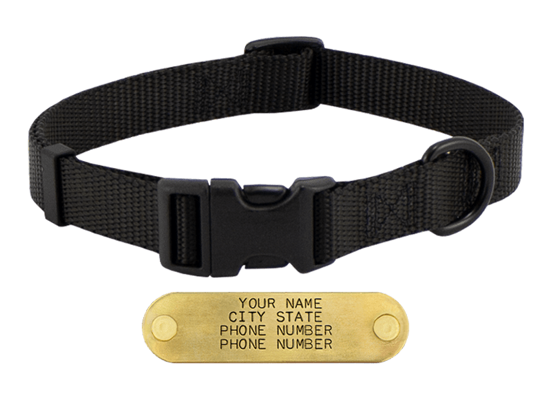 BLACK LONG 3/4 in. QUICK DAWG Nylon Quick Release Collar | Gun Dog Supply