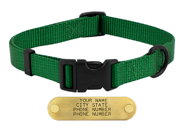 KELLY GREEN LONG 3/4 in. QUICK DAWG Nylon Quick Release Collar | Gun ...