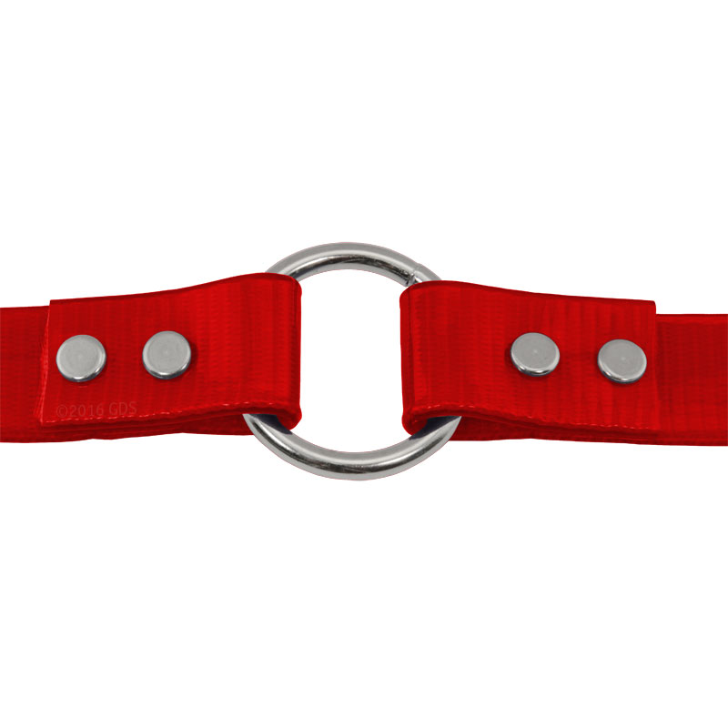 RED 1 in. SunGlo O-Ring Collar | Gun Dog Supply