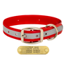 ORANGE 1 in. SunGlo Reflective Standard Collar. $15.99.