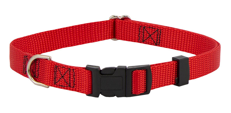 RED 5/8 in. Quick Release Nylon Dog Collar | Gun Dog Supply