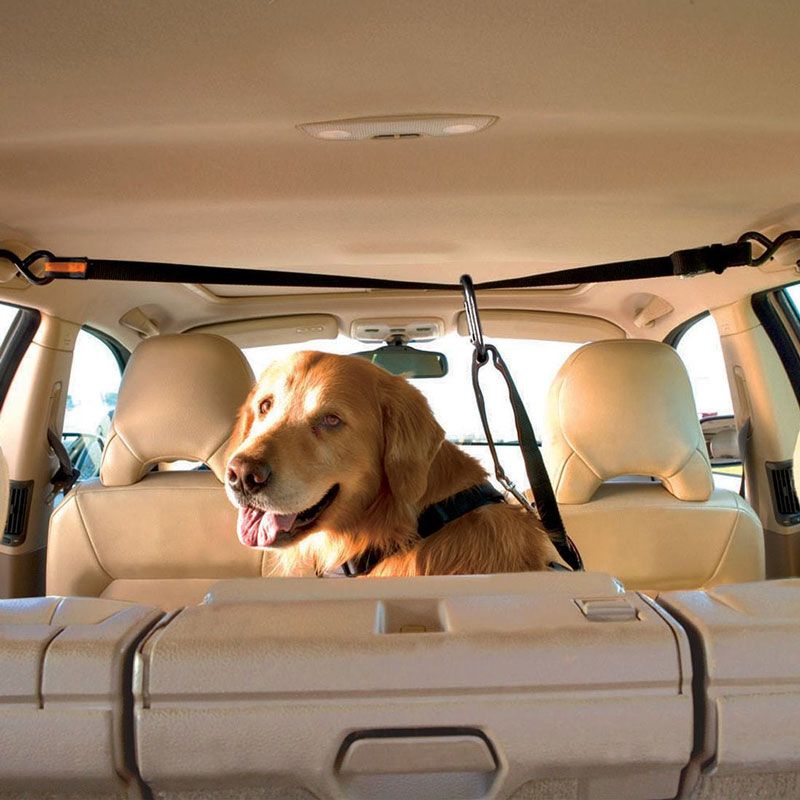 Kurgo Auto Zip Line with Tether Leash. $29.95.