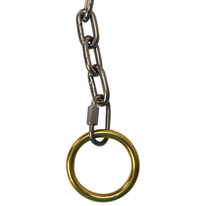 Stainless Steel Chain Gang 4-dog with Stakes. $314.99. FREE Shipping US48