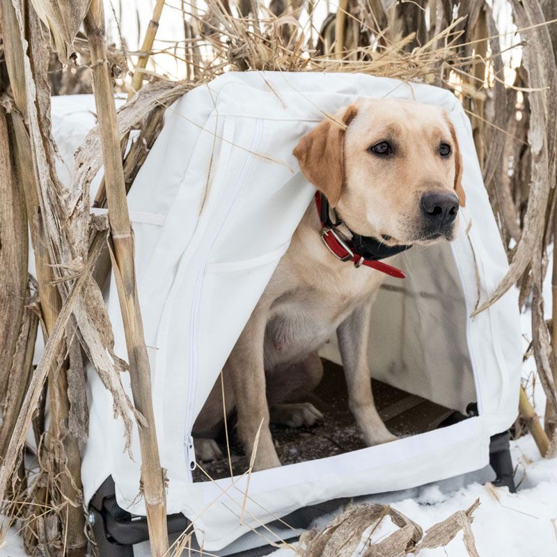 MOmarsh InvisiLAB Snow Dog Blind Cover. $79.99.