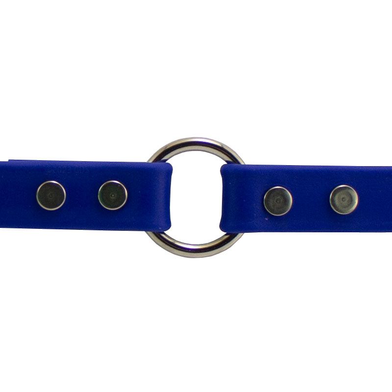 THE little DAWG -- ROYAL BLUE 3/4 in. Super-Heavy Biothane O-Ring ...