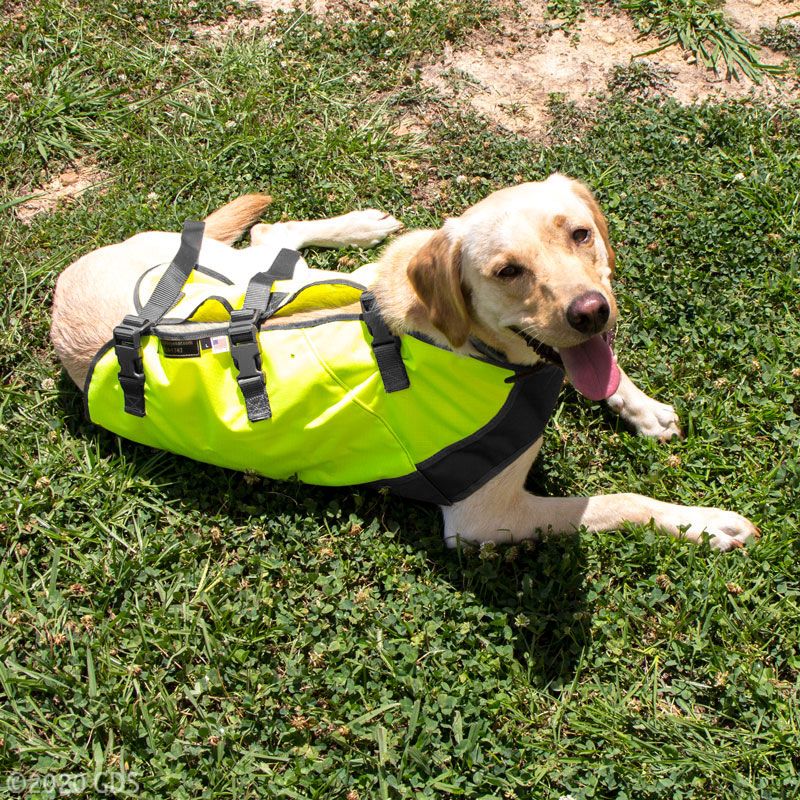 SYLMAR Body Guard Dog Vest -- YELLOW/BLACK. $47.95.