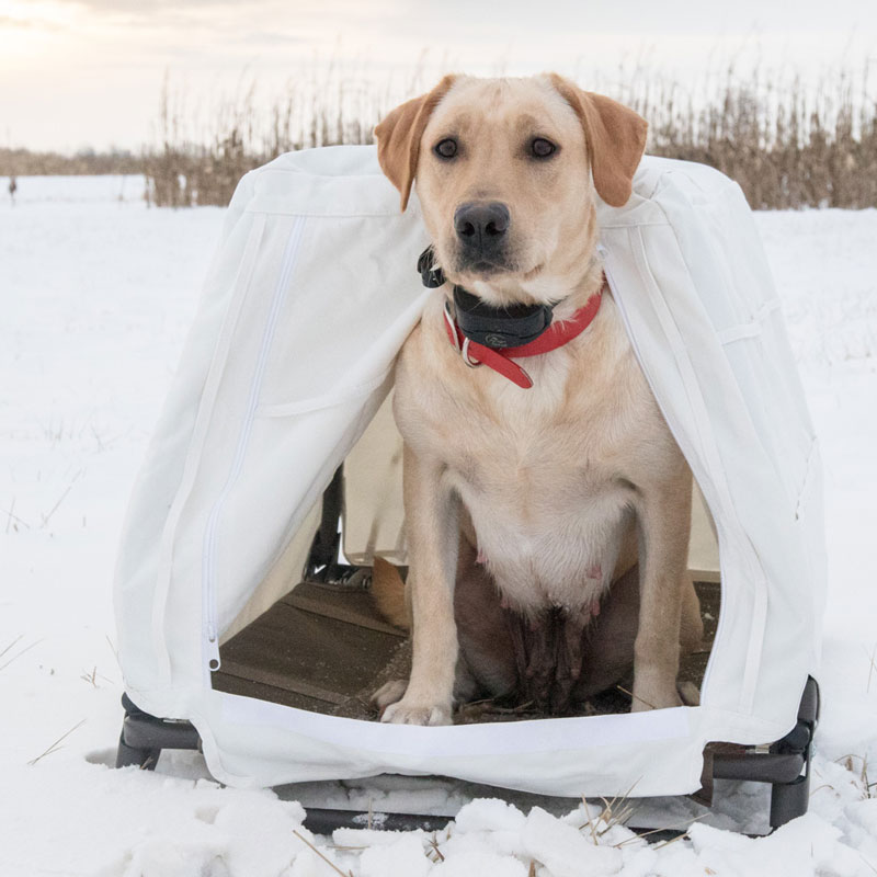 MOPIX - Snow Cover in Use.