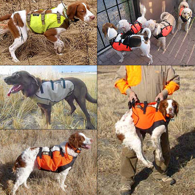 MOPIX - Sylmar Body Guard Dog Vest in Use.