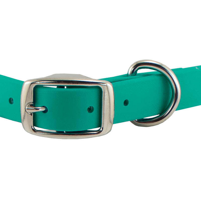 LASER BIG DAWG -- TEAL 1 in. Super-Heavy Biothane Standard Collar. $19.99.