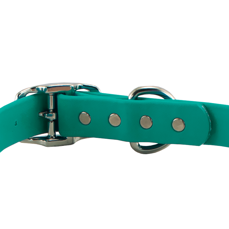 LASER BIG DAWG -- TEAL 1 in. Super-Heavy Biothane Standard Collar. $19.99.