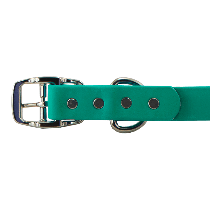 LASER BIG DAWG -- TEAL 1 in. Super-Heavy Biothane Standard Collar. $19.99.