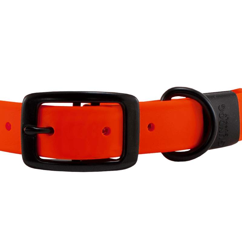 STEALTH Dawg -- ORANGE 1 in. Biothane Collar with Black Hardware. $19.99.