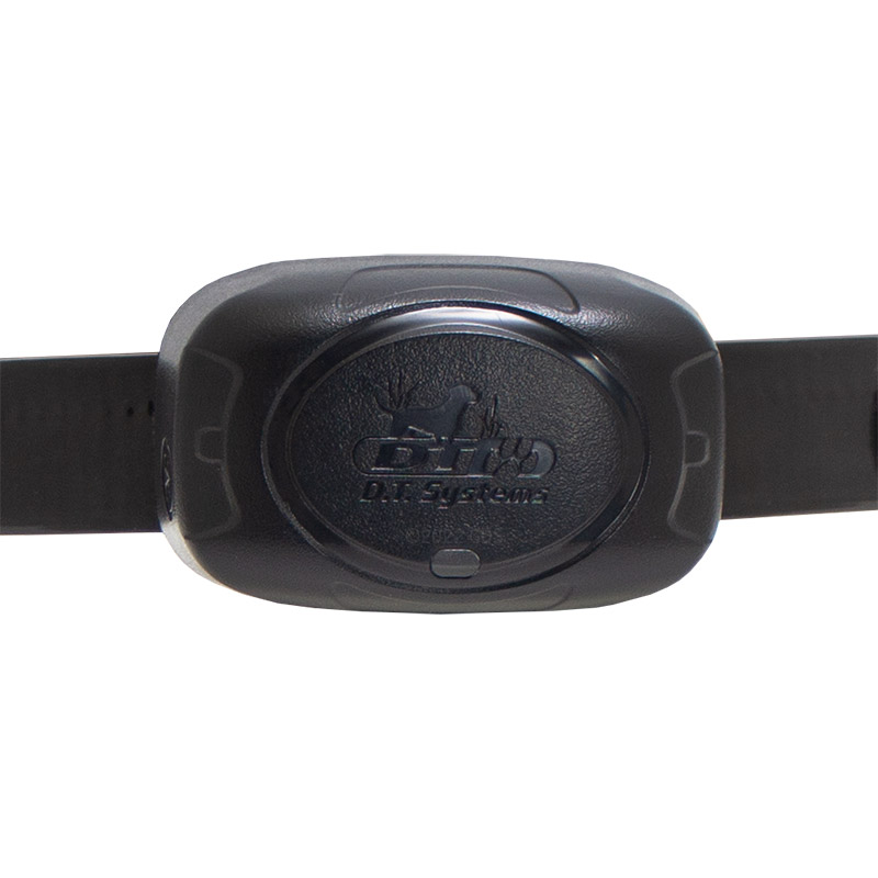 DT Systems DD700 D.O.G. Director Remote Training Collar. $149.99 (Save ...